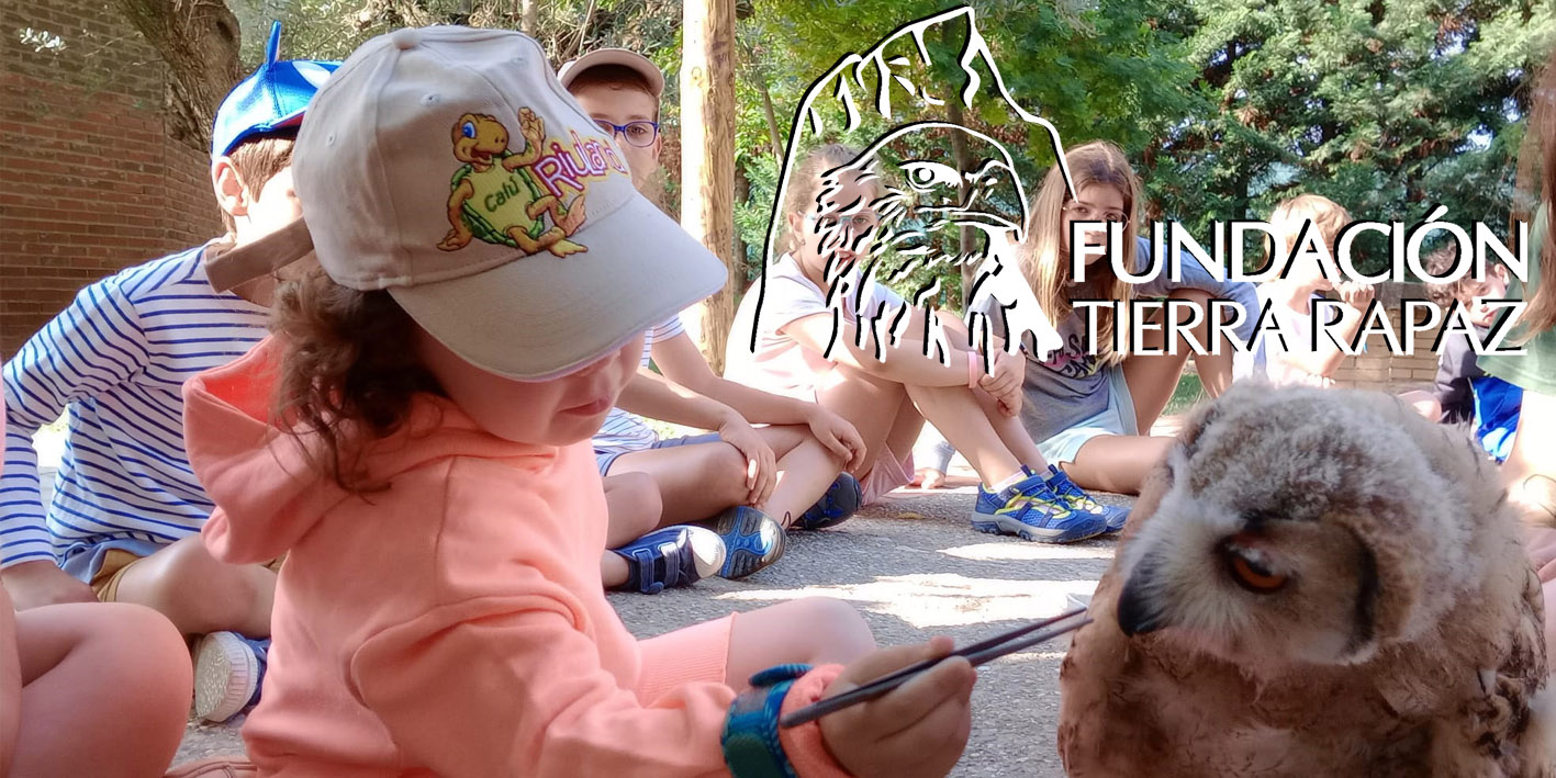 Comienza el campamento Tierra Rapaz 2023 - Fundación Tierra Rapaz